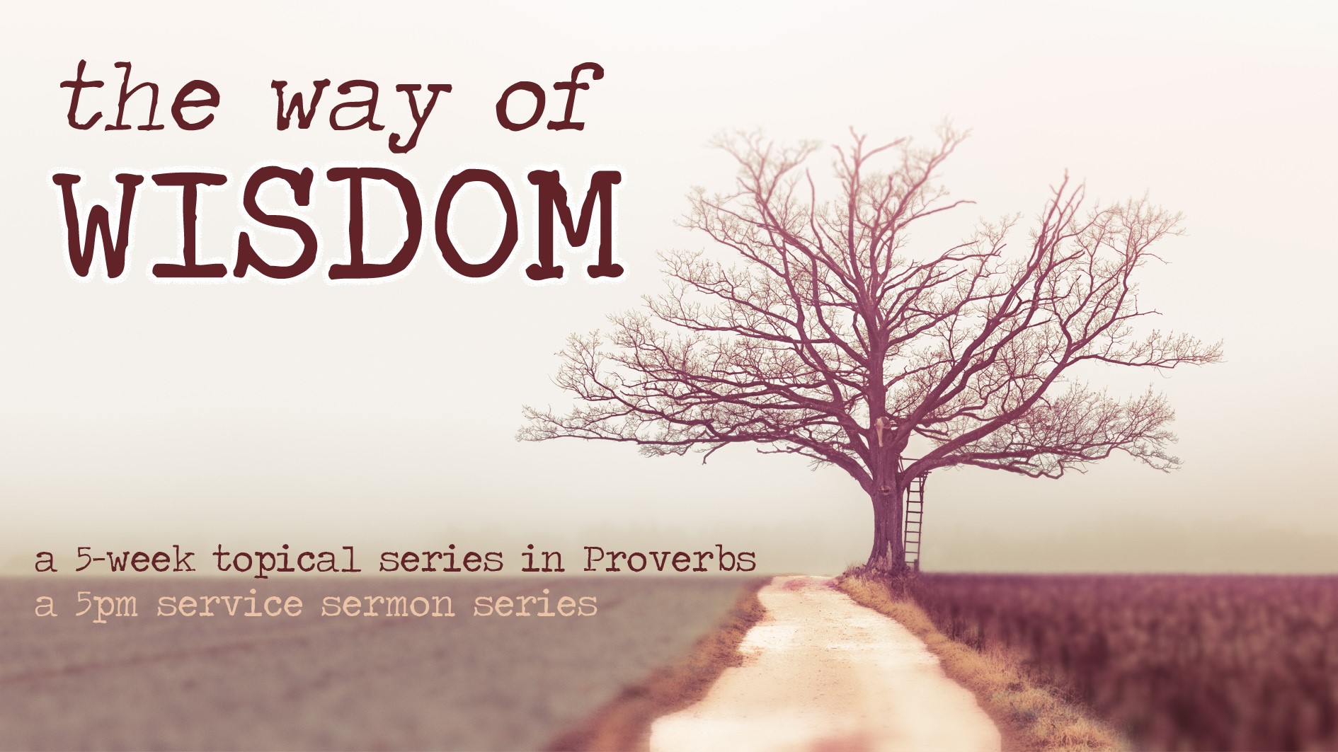 Proverbs - the way of wisdom